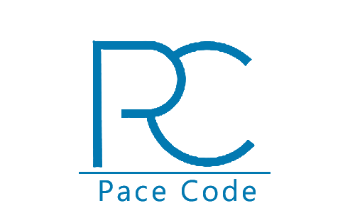 Your Vision, Our Technology - Software Solutions | Pace Code